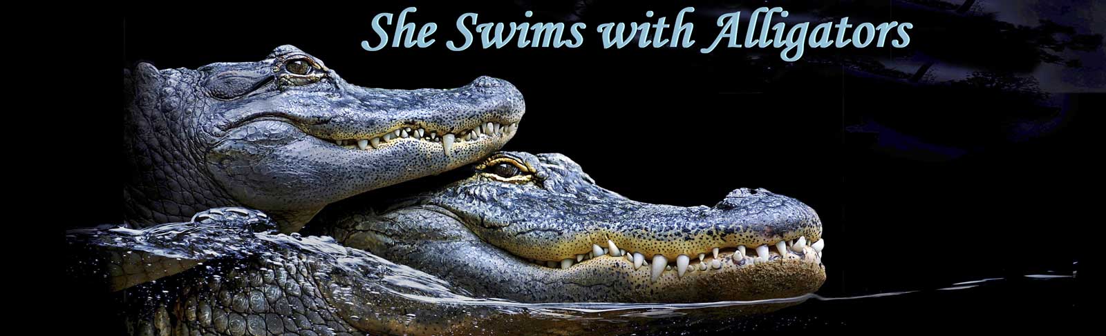 What Readers Say – She Swims With Alligators — The book by Diana K Kanoy